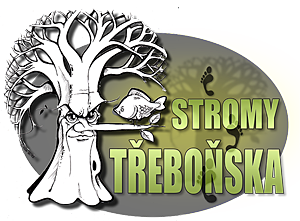 Třeboň soubory